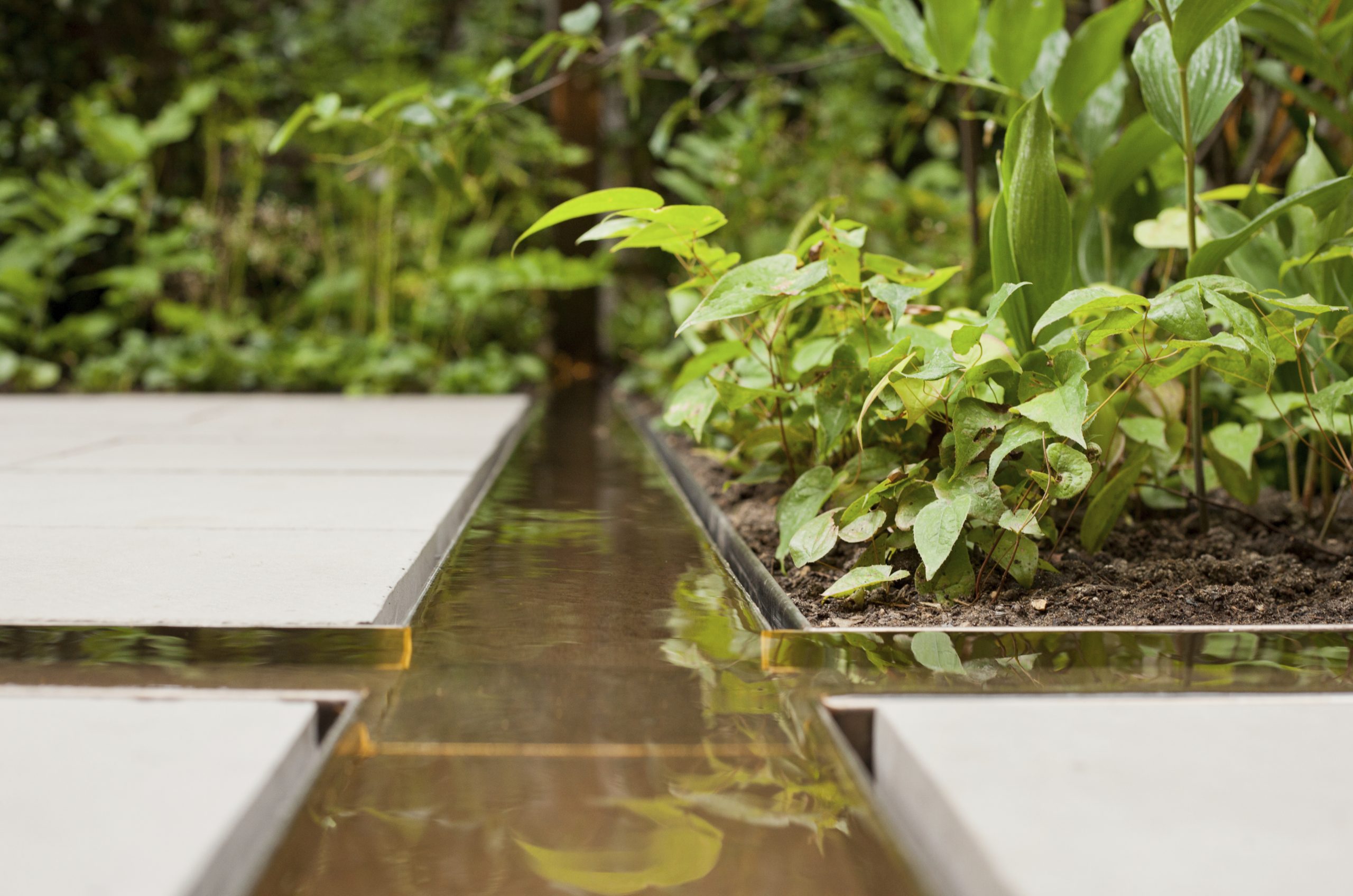 Water features - Stefano Marinaz Landscape Architecture
