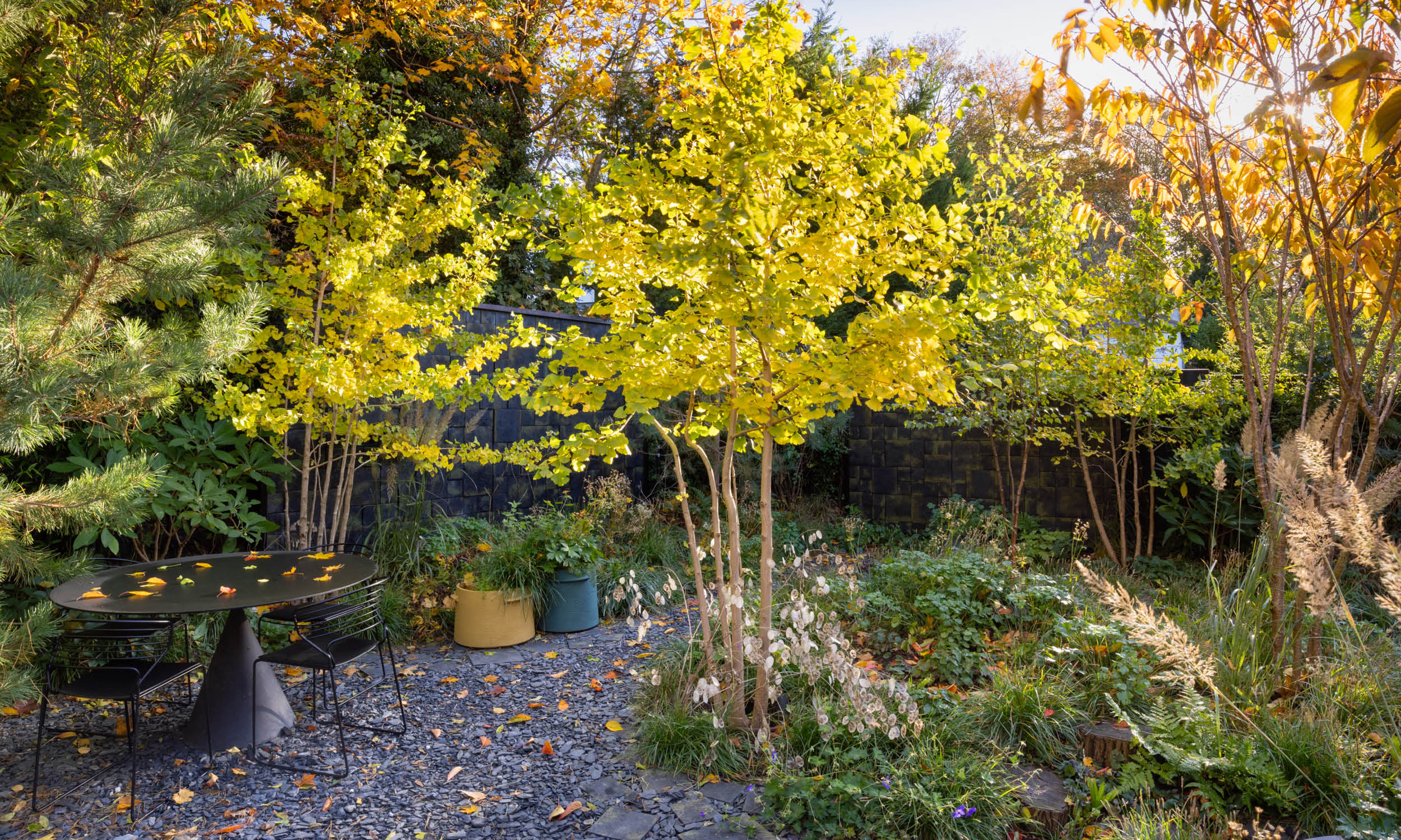 Edgy Woodland Wonderland in Autumn - Stefano Marinaz Landscape Architecture