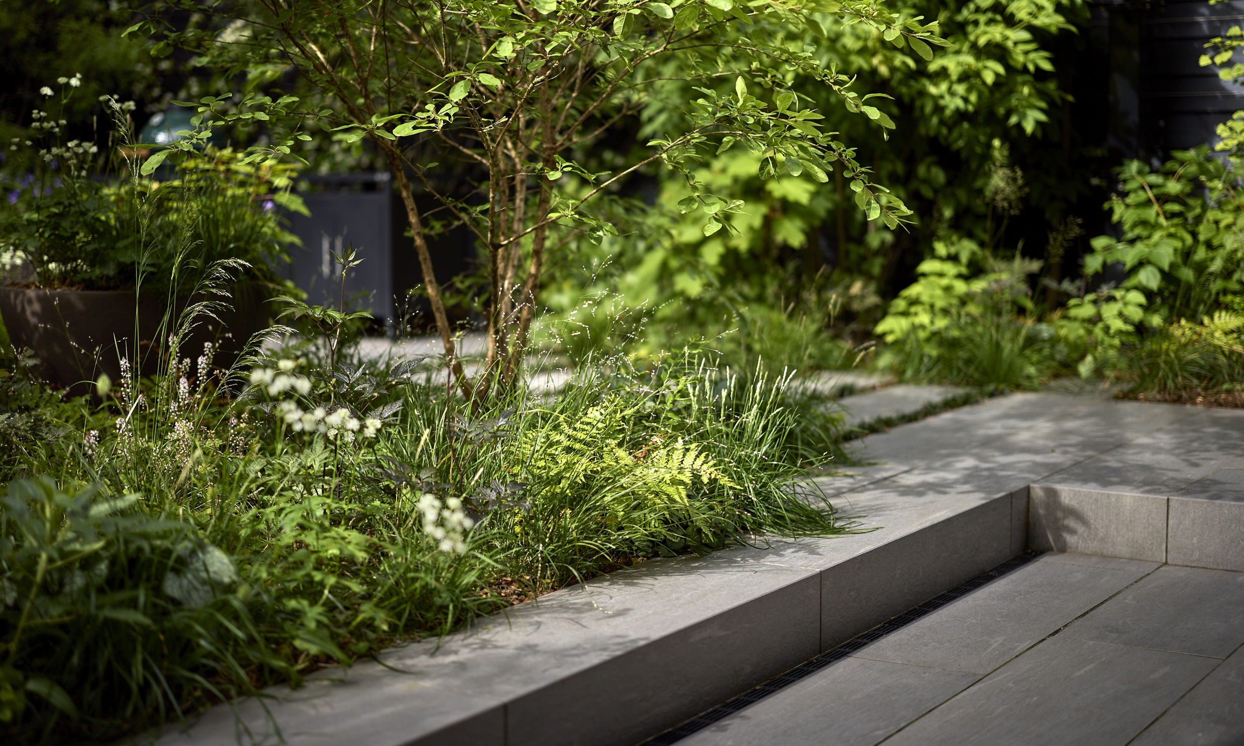 The Garden with a Vibe - Stefano Marinaz Landscape Architecture