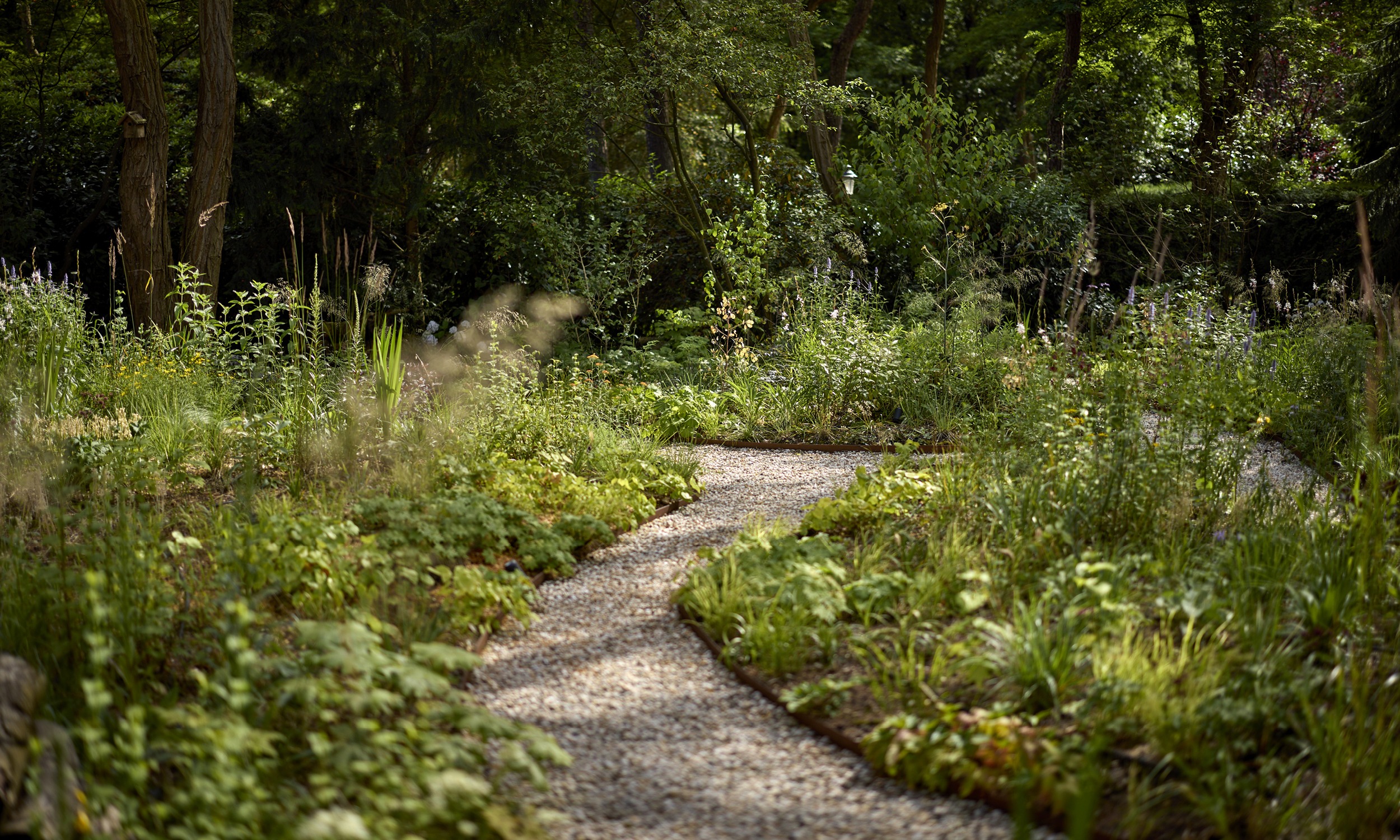 Woodland Glade Sanctuary - Stefano Marinaz Landscape Architecture