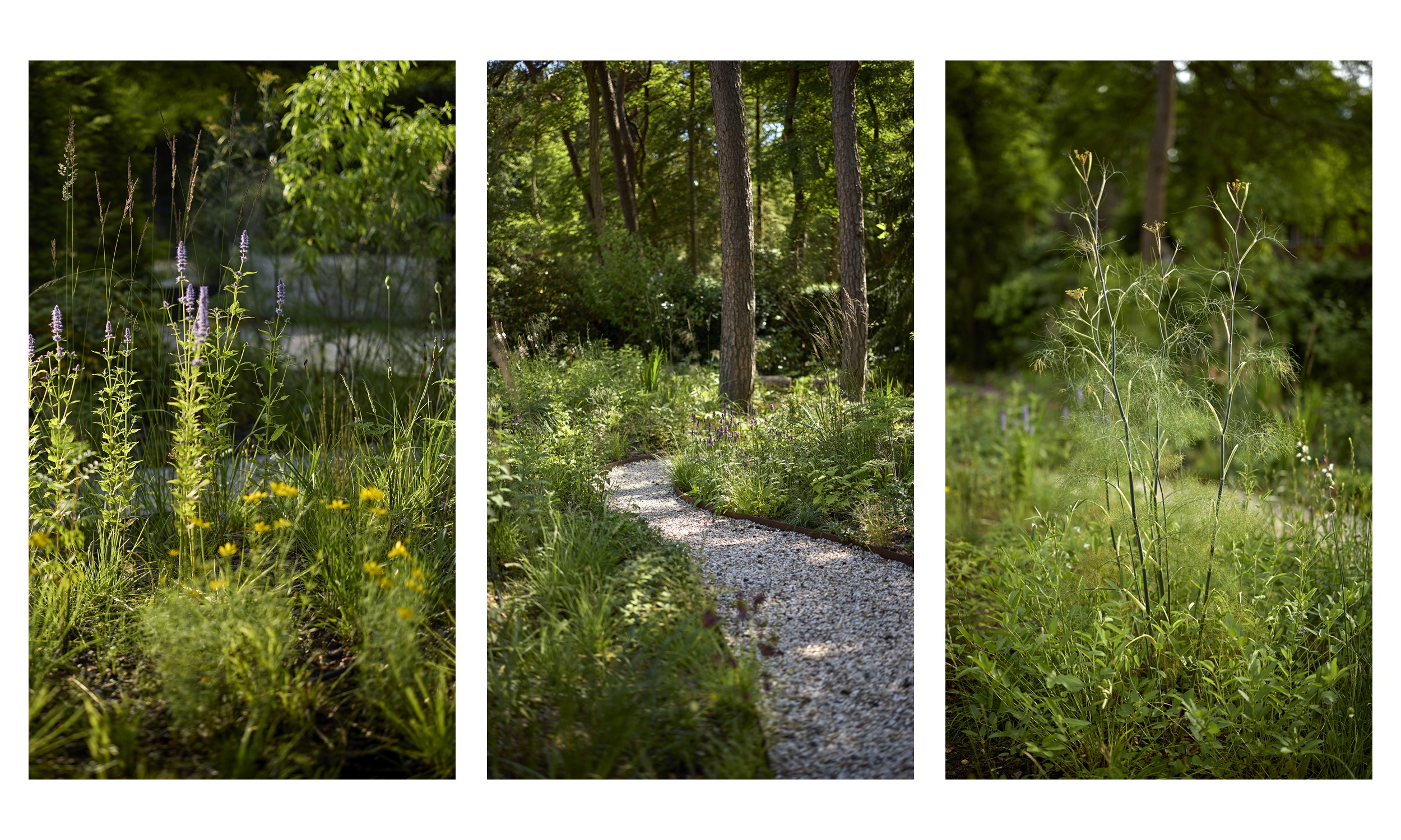 Woodland Glade Sanctuary - Stefano Marinaz Landscape Architecture